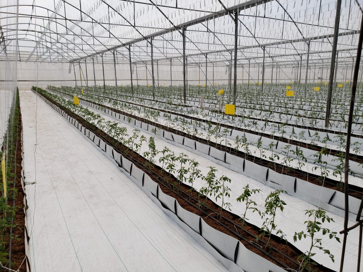 Hydroponic Systems - Ina Plastics S.A. - Hydroponic Systems